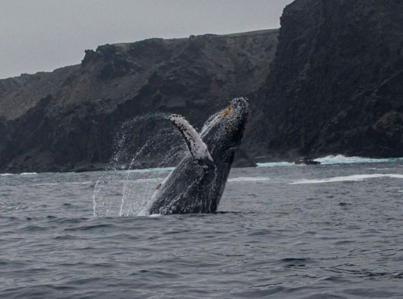 Tours Coquimbo | Coquimbo Tours low cost